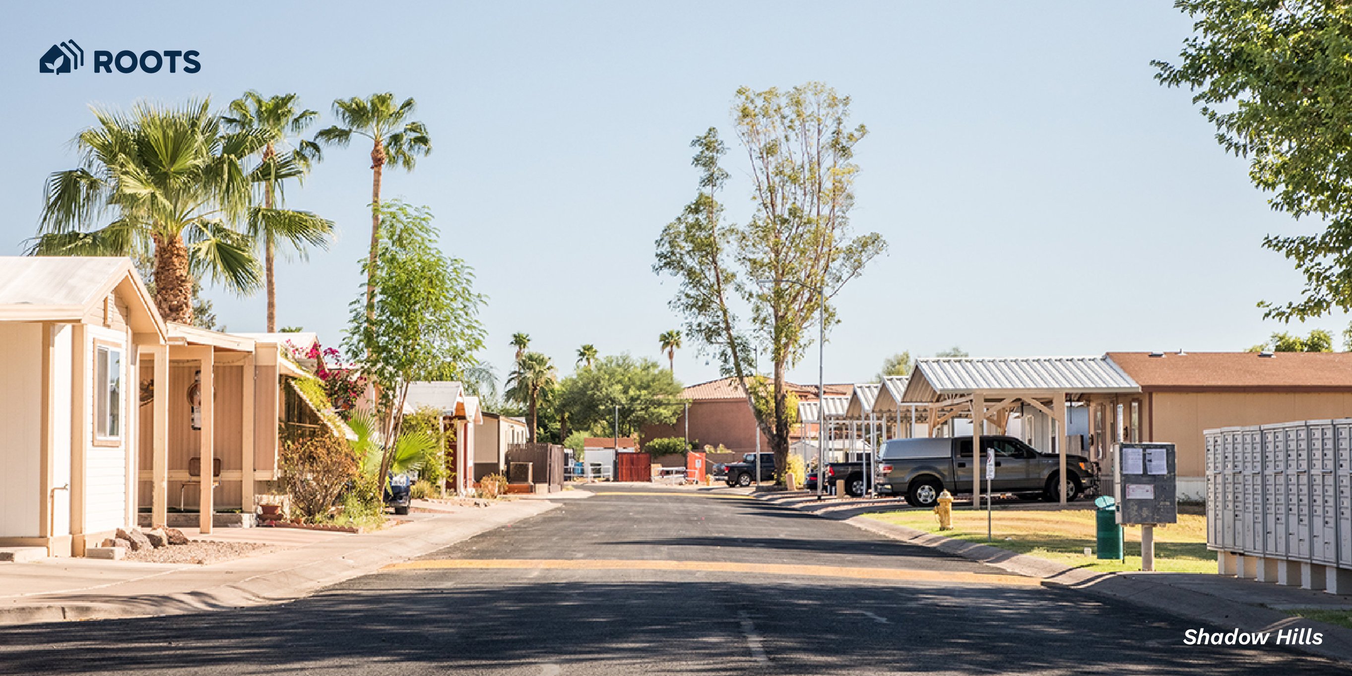 Empowering Financial Literacy: Roots Management Group is here to Help