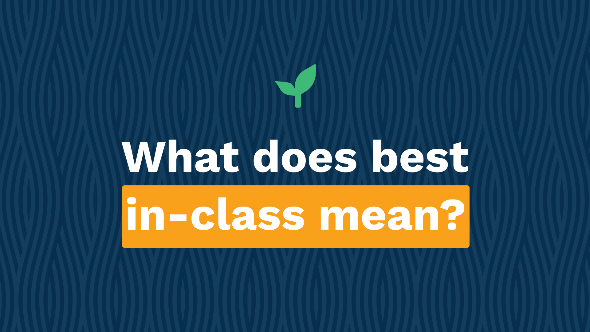 Best In Class | Roots Video FAQ