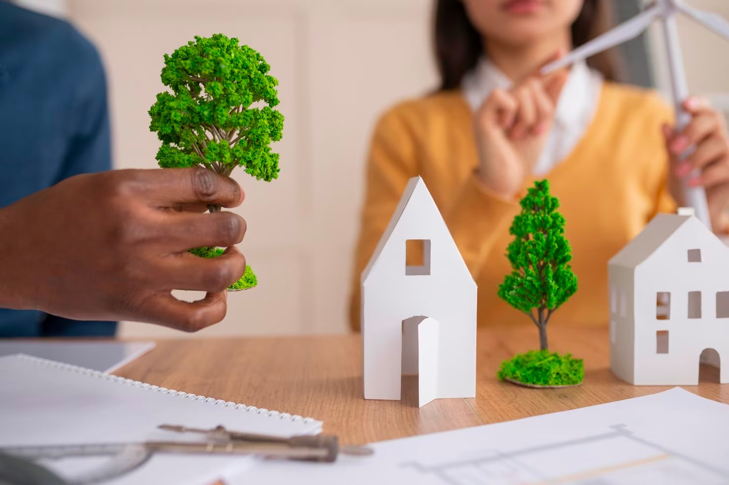 Rental Conversion Program - Establish Your Roots